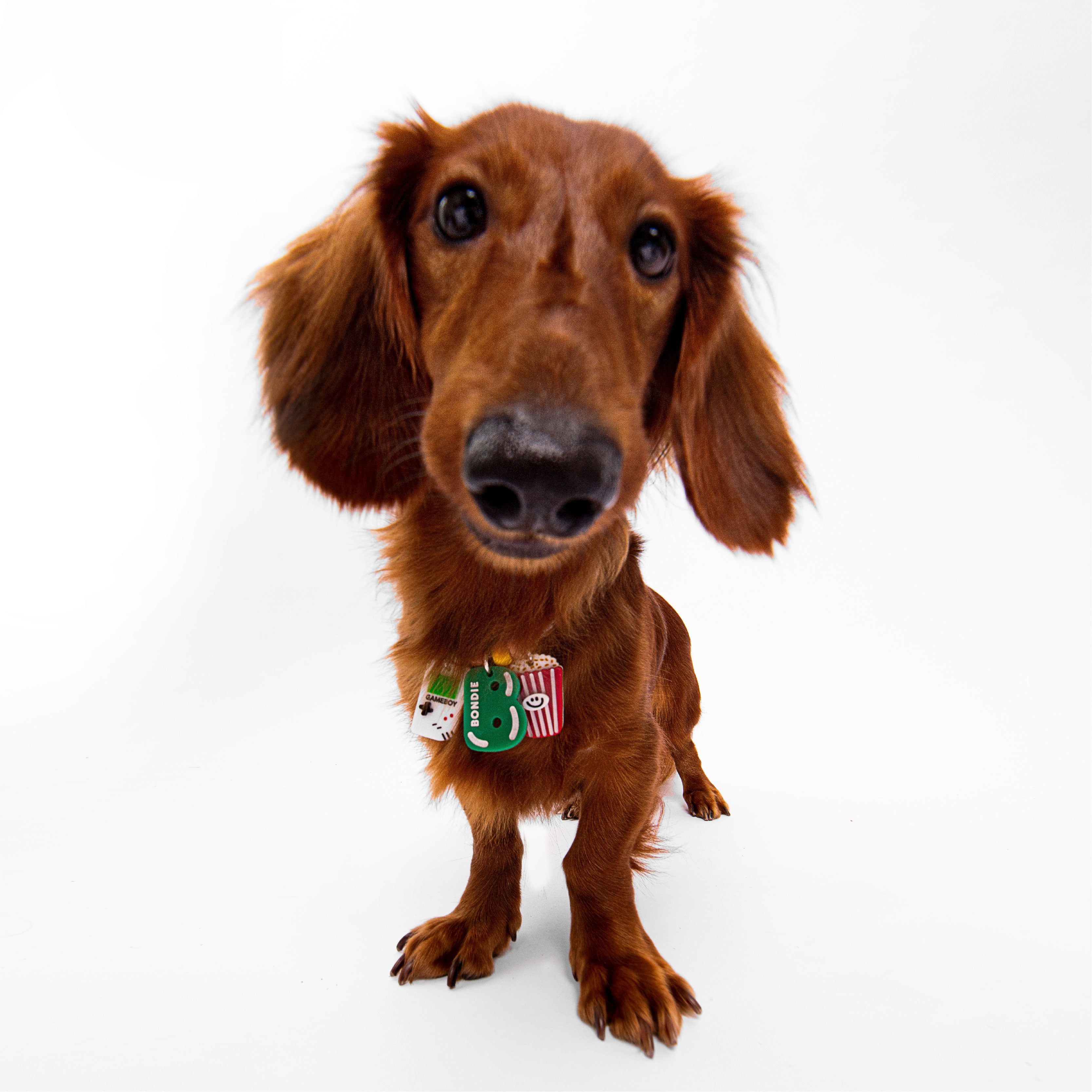 Bobby Alphabet Customised Tag – Brown & Butter